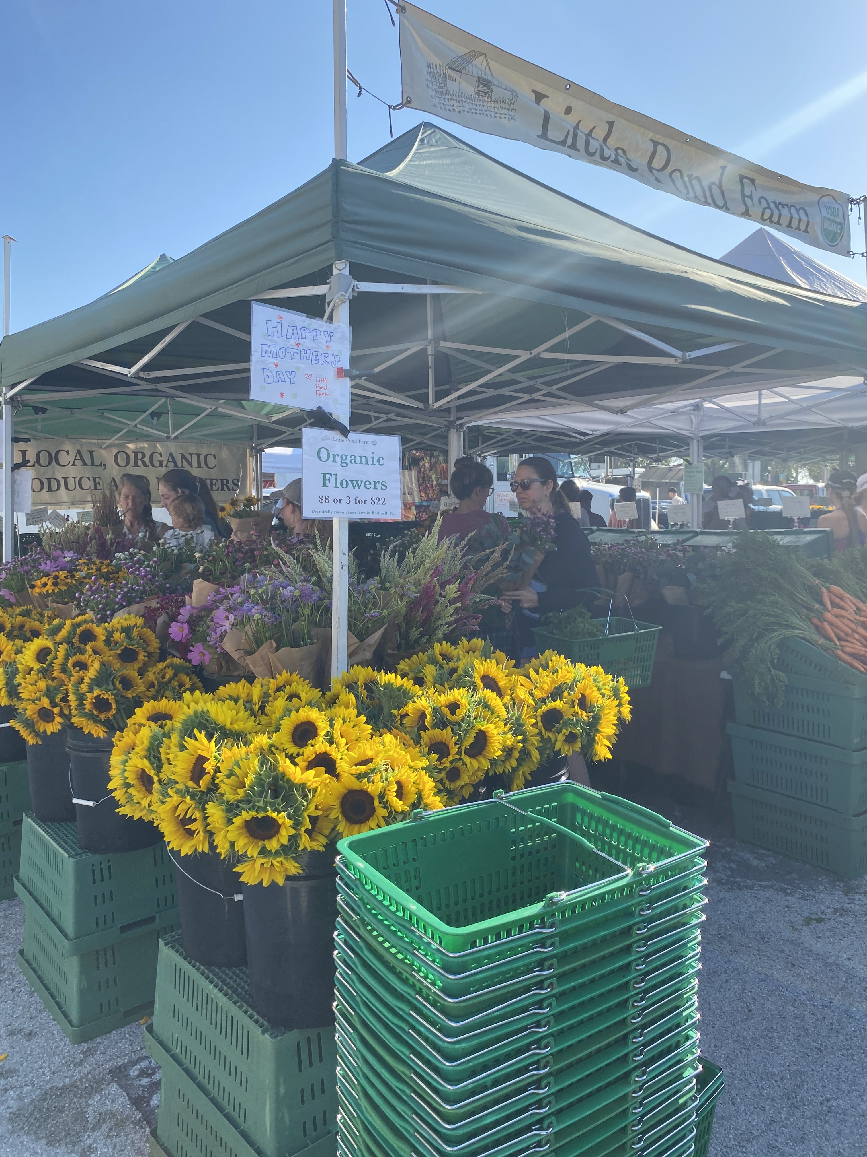 Links! – Little Pond Farm